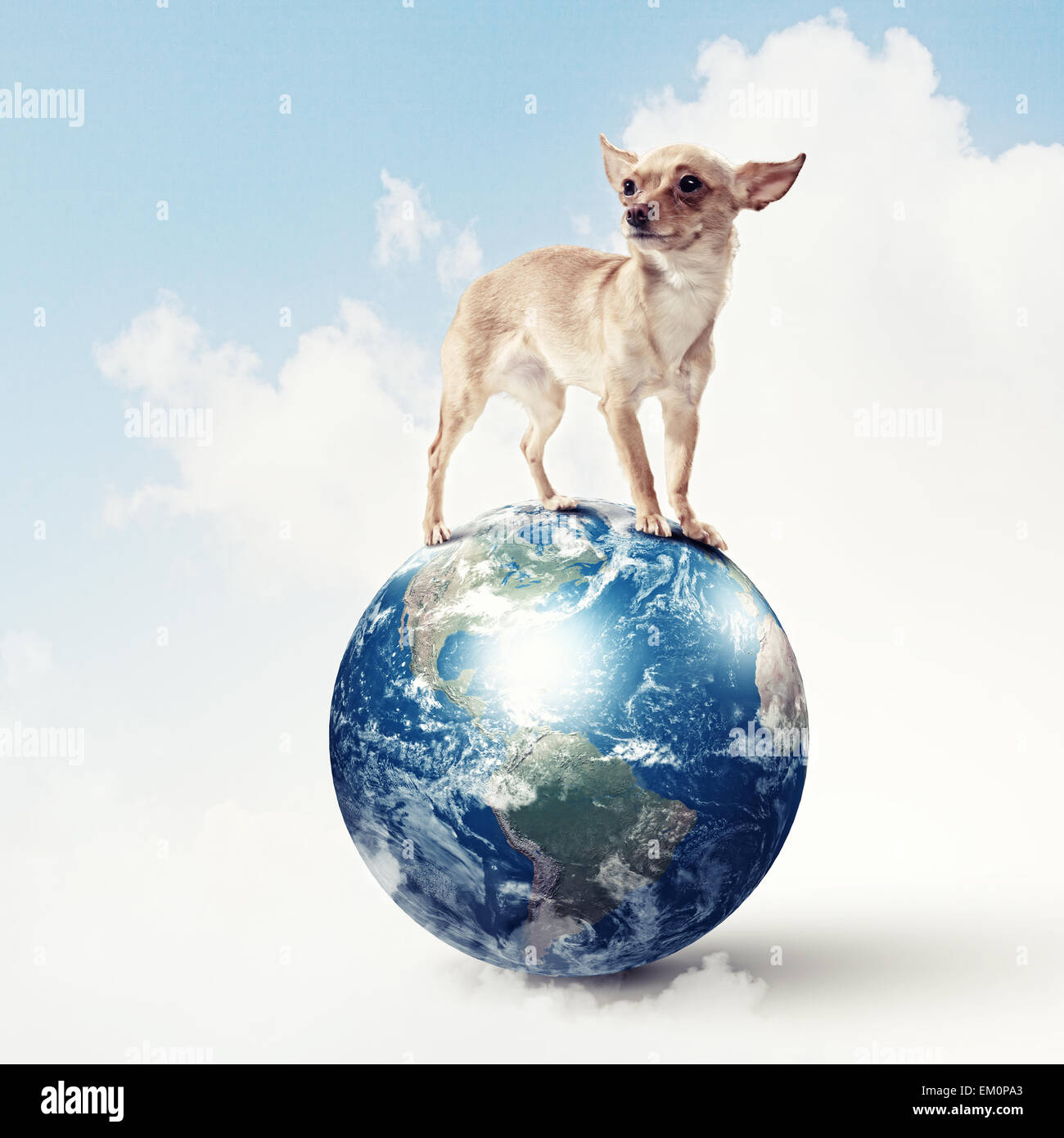 Fictional dog hi-res stock photography and images - Alamy