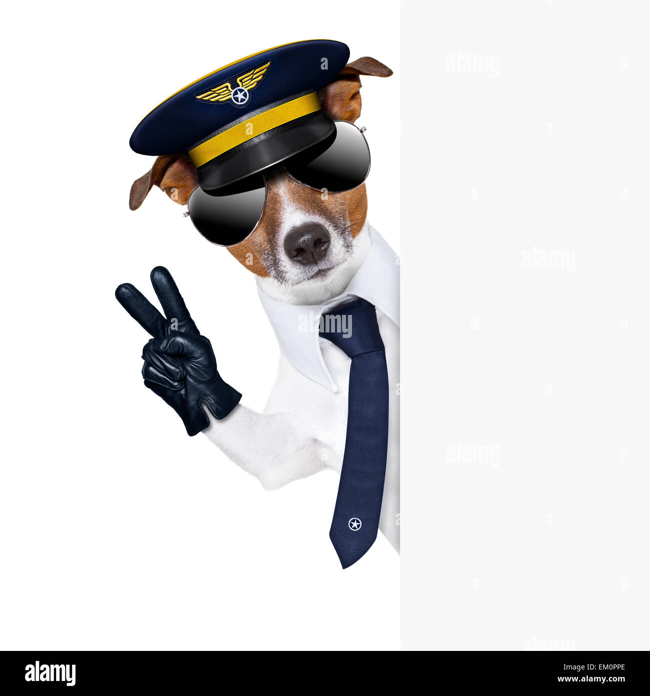 Dog for peace Cut Out Stock Images & Pictures - Alamy