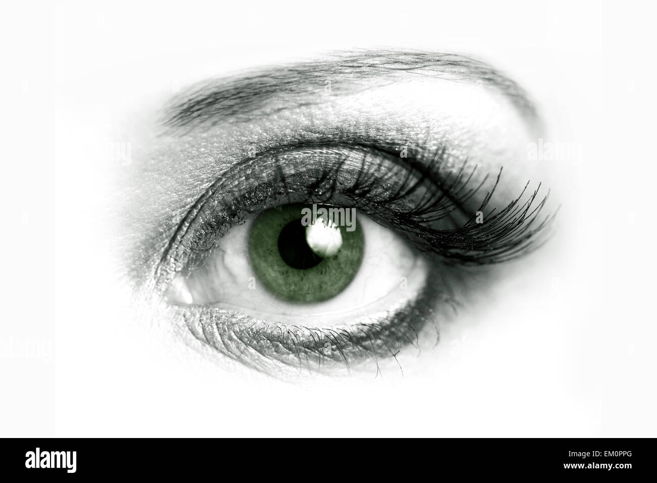 Open eye closeup Stock Photo - Alamy