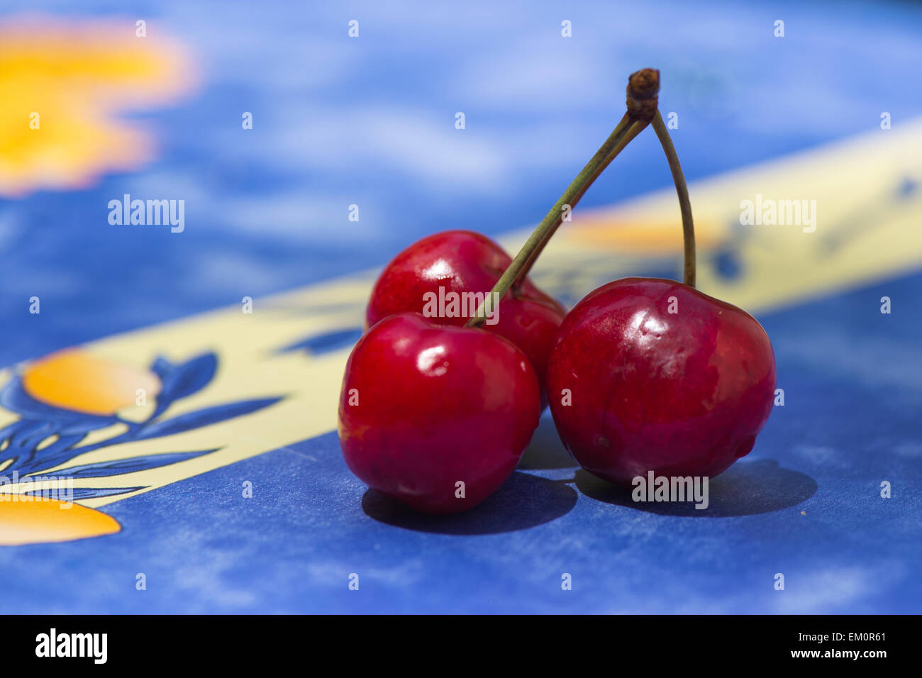 French desing hi-res stock photography and images - Alamy