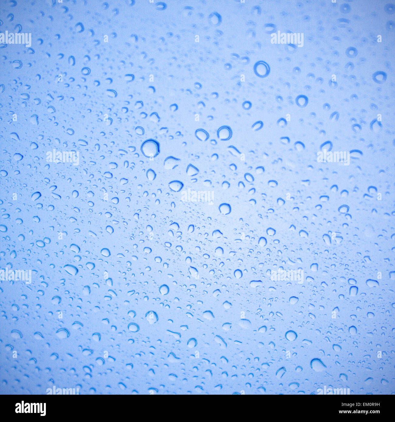 Water drop on the glass Stock Photo - Alamy