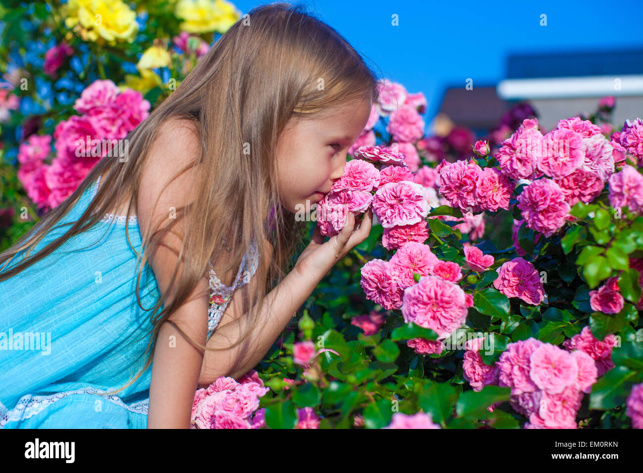 Little adorable girl smelling colorful flowers at summer day Stock ...