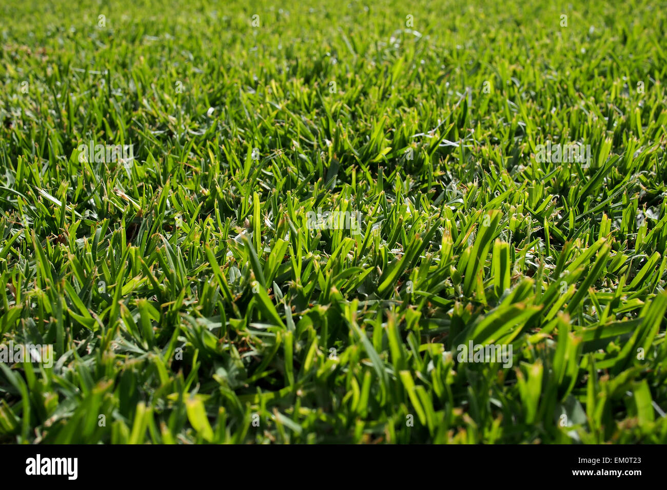 Seamless park playground pattern hi-res stock photography and images ...