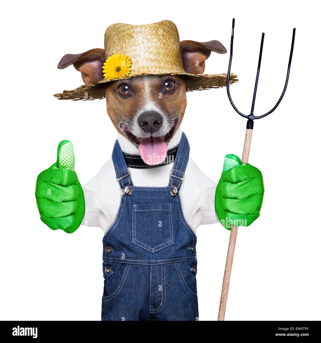 Farmer dog hi-res stock photography and images - Alamy