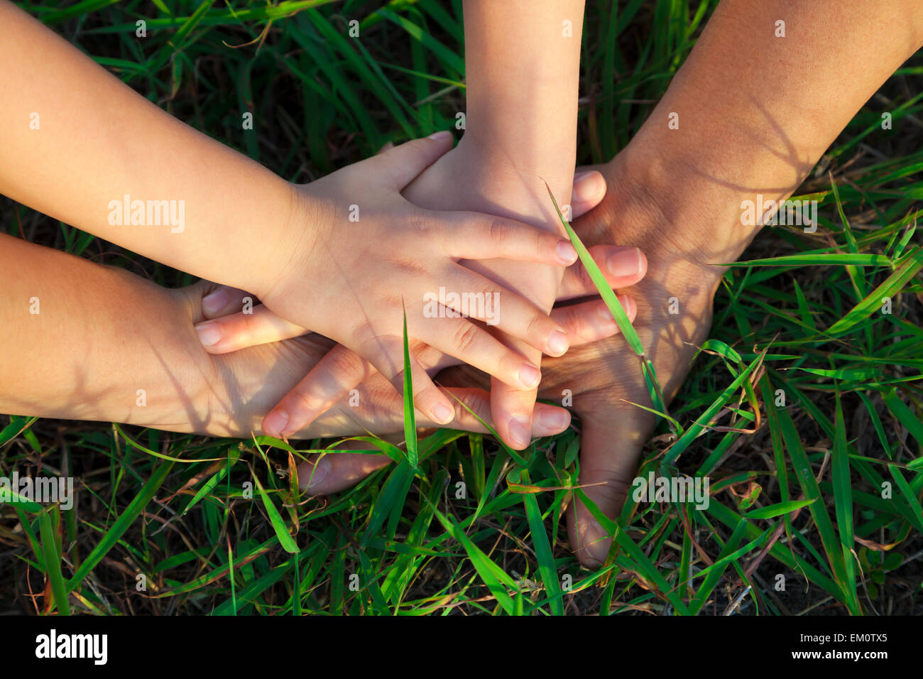 family hand stack together on the grass Stock Photo - Alamy