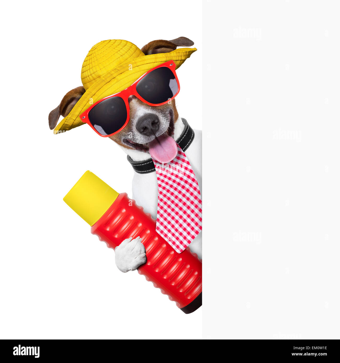 Dog behind glass hi-res stock photography and images - Alamy