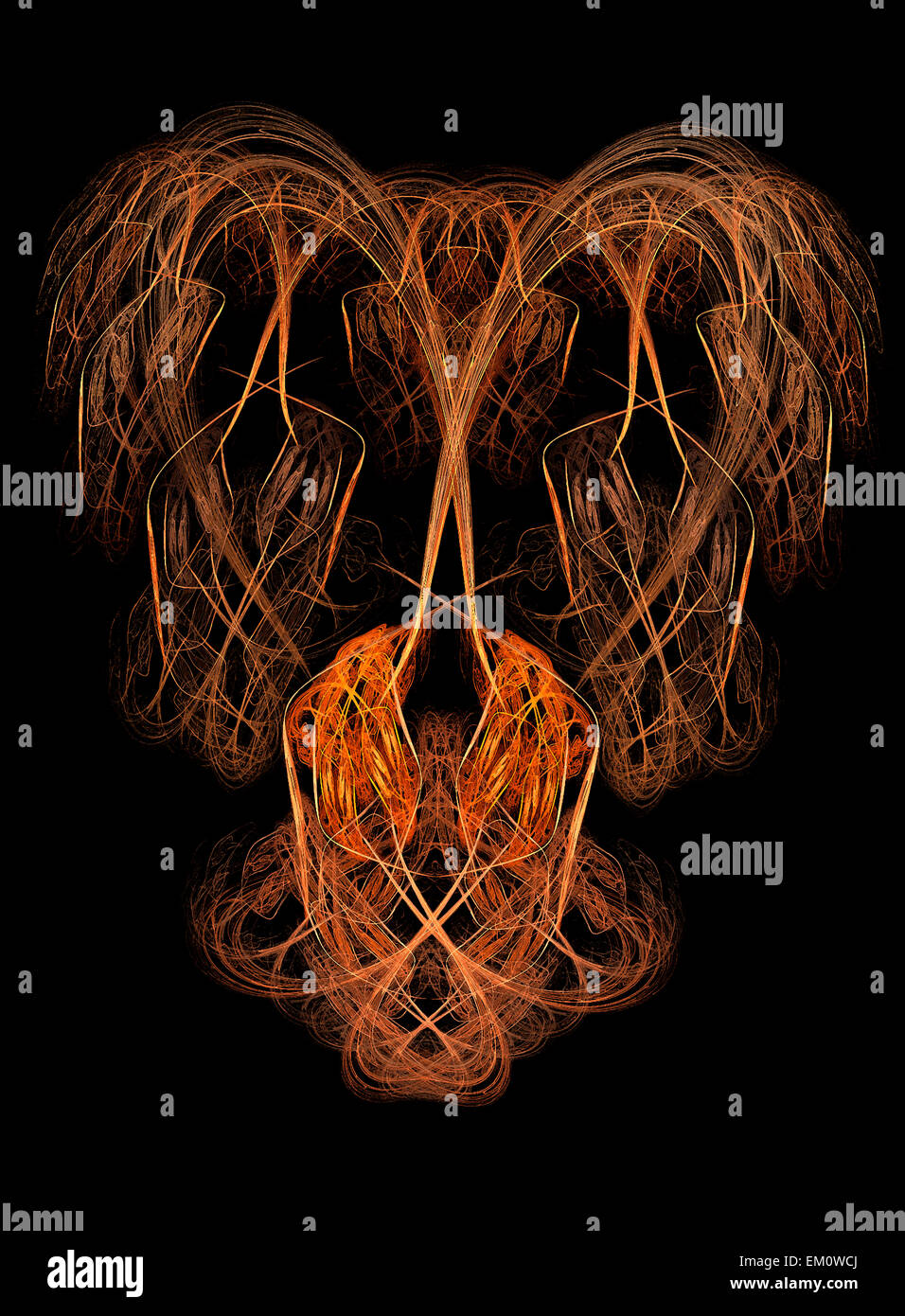 Variations of plant life hi-res stock photography and images - Alamy