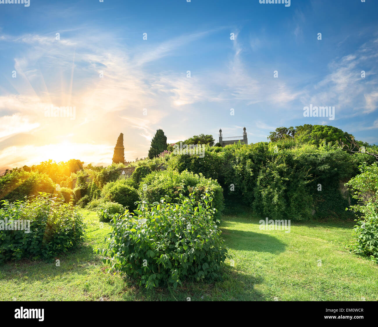 Green garden in medieval hi-res stock photography and images - Alamy