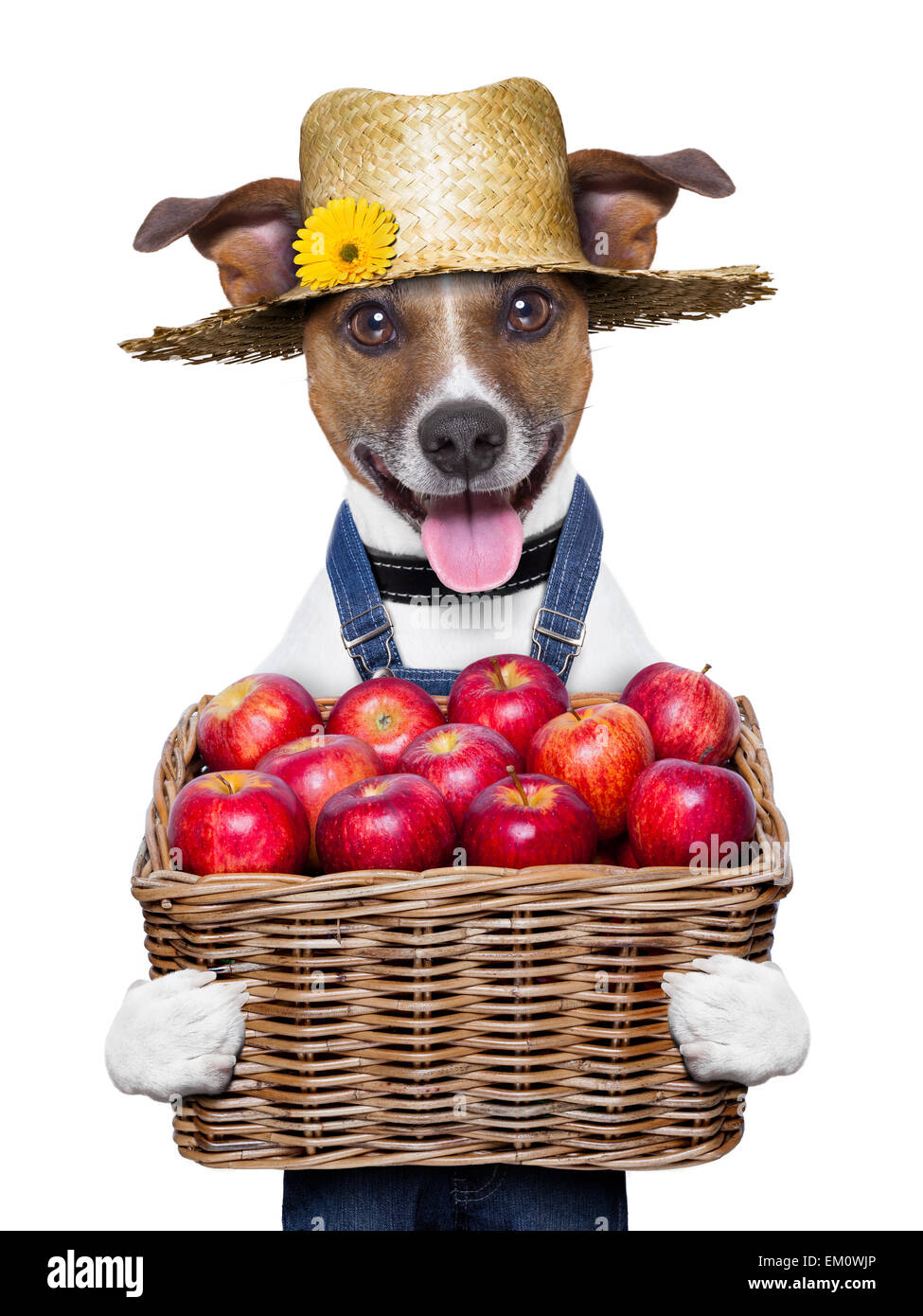 Biological farmer hi-res stock photography and images - Alamy