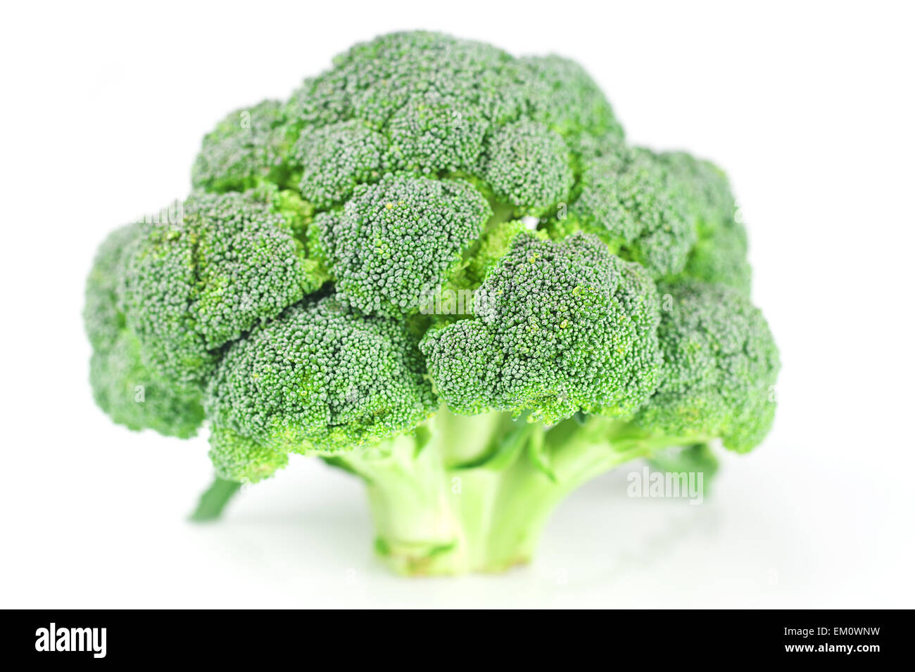 juicy green broccoli isolated on white Stock Photo - Alamy