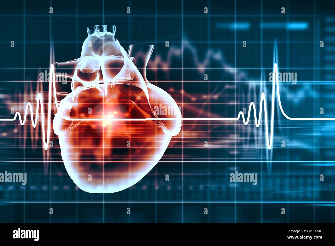 Human heart beats Stock Photo - Alamy