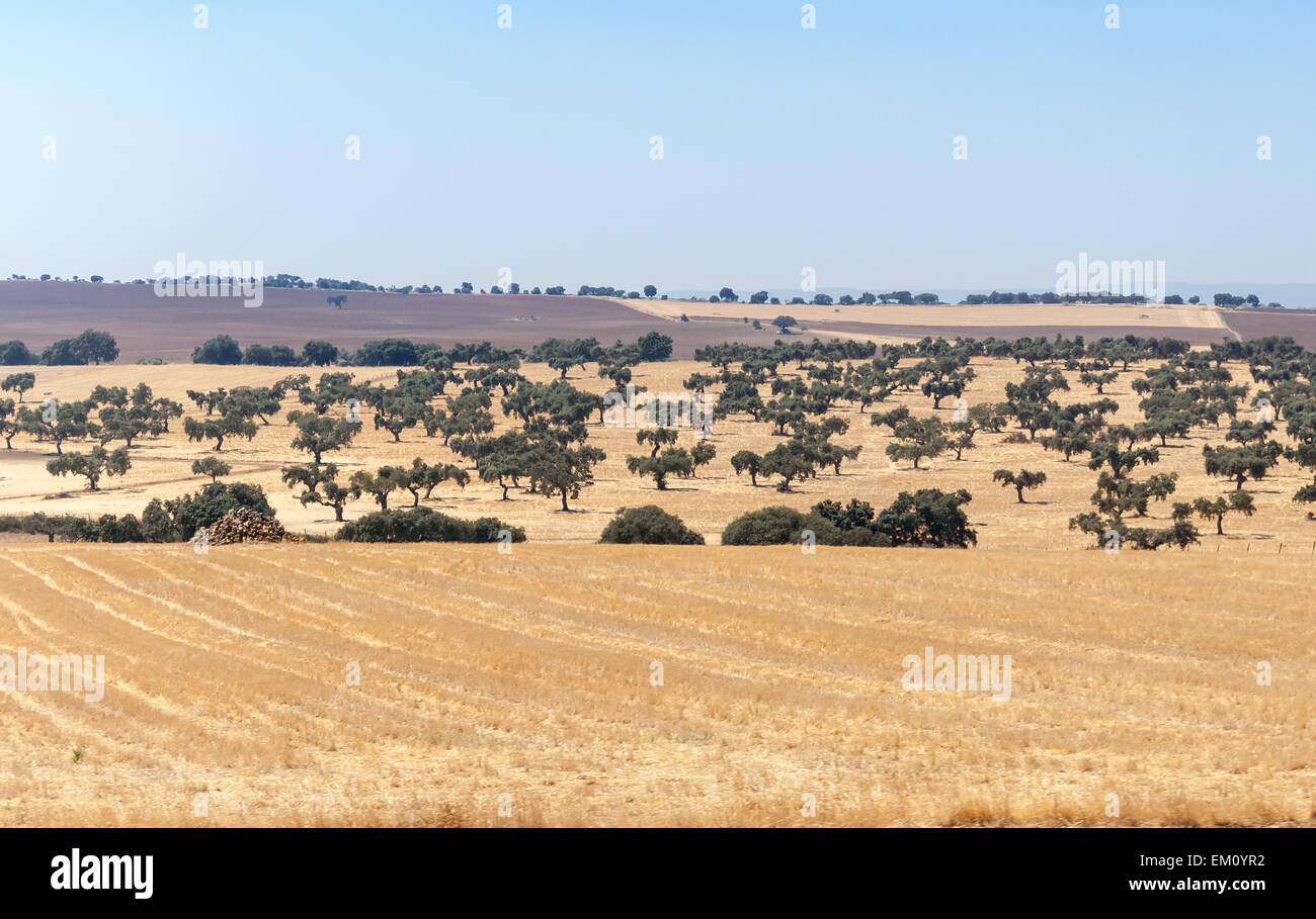 Rural region horizontal hi-res stock photography and images - Alamy