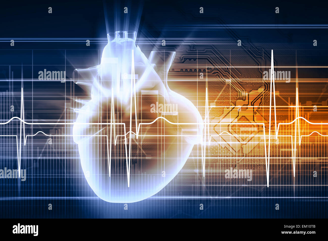 Human heart beats Stock Photo - Alamy