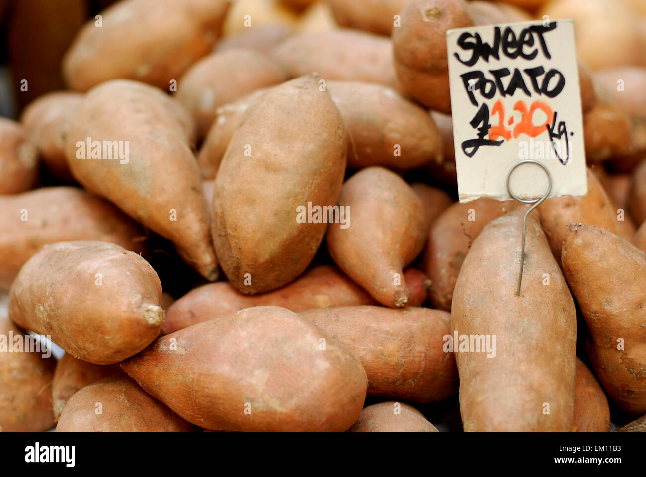 Farmers harvest sweet potato farm hi-res stock photography and images ...
