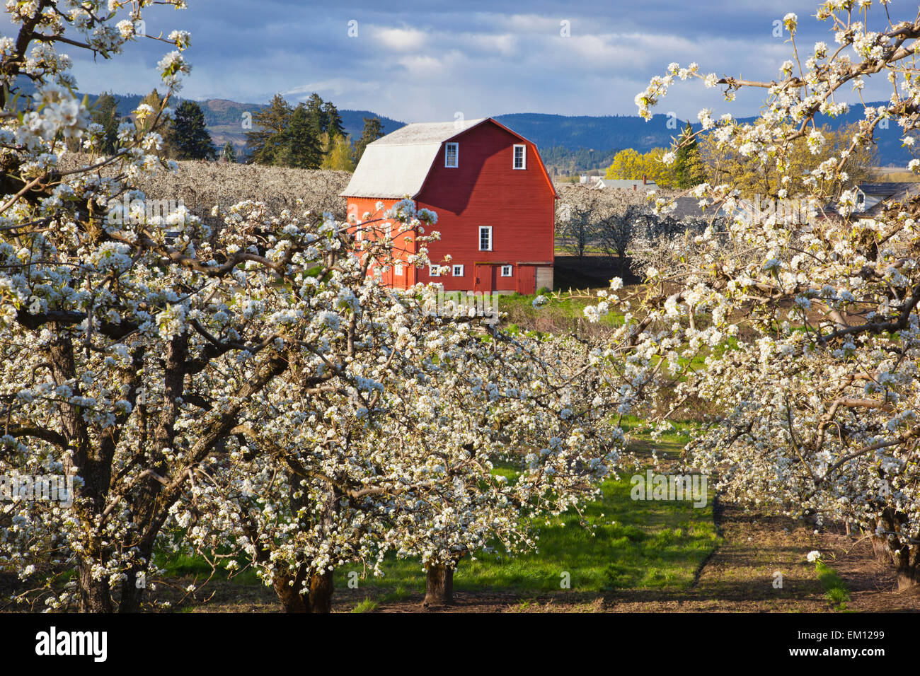 Hood river red barn hi-res stock photography and images - Alamy