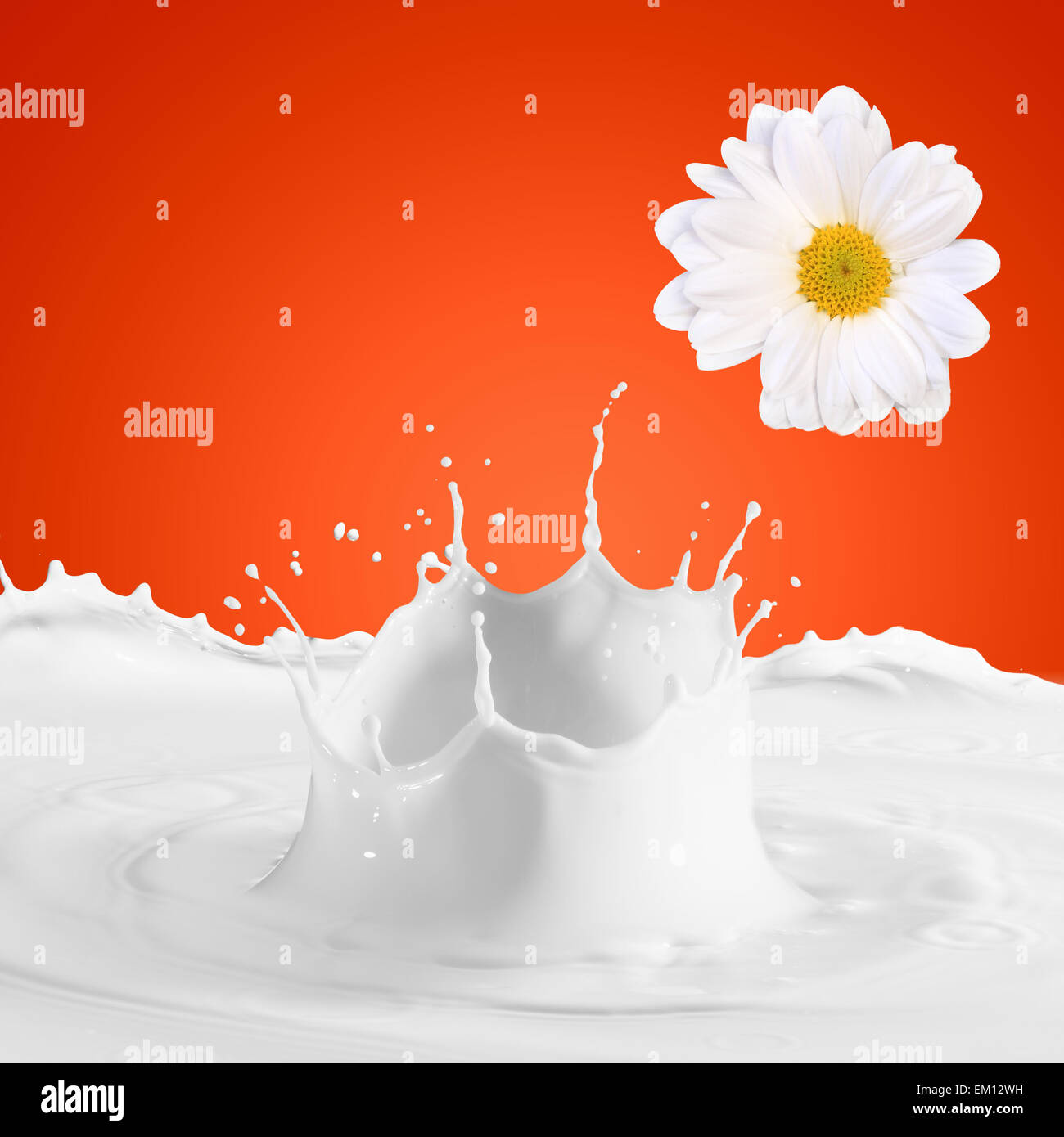 Image of milk splashes Stock Photo - Alamy