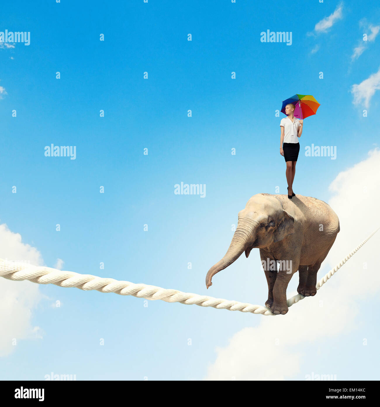 Elephant walking on rope Stock Photo - Alamy