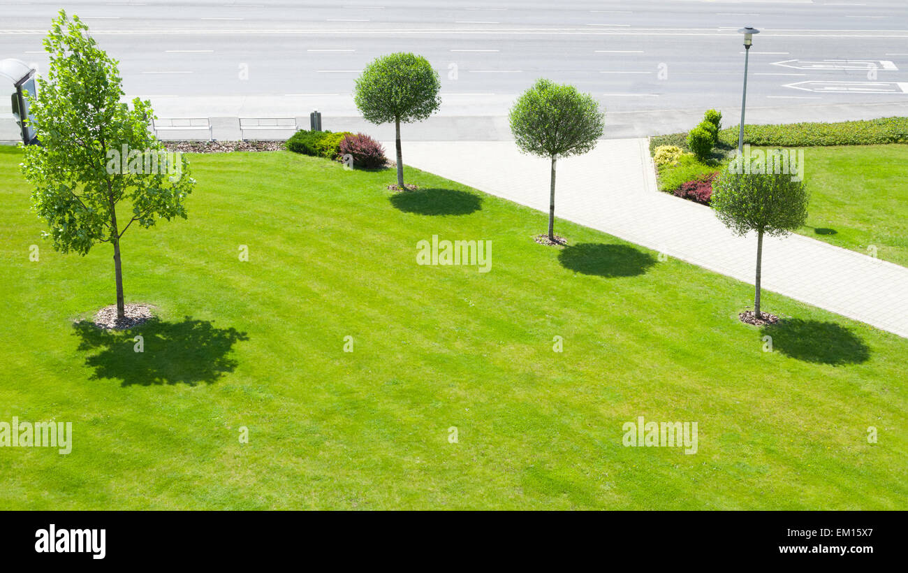 Trees beside road hi-res stock photography and images - Alamy