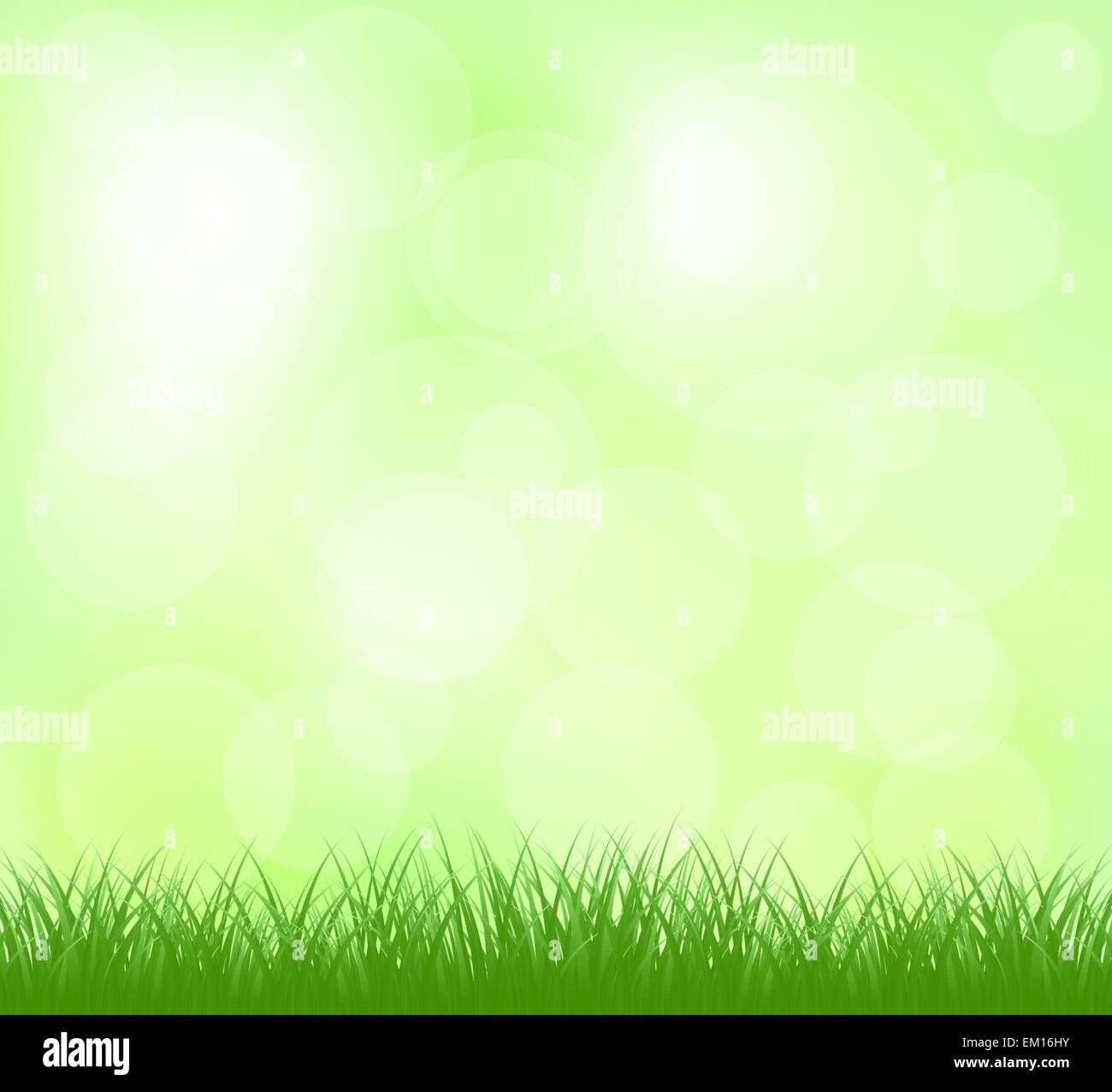 Natural light green grass background Stock Vector Image & Art - Alamy