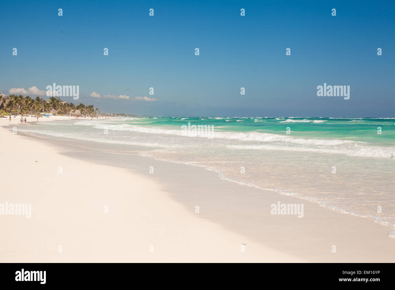 Perfect tropical beach with turquoise water and white sand beaches in Tulum, Mexico Stock Photo ...