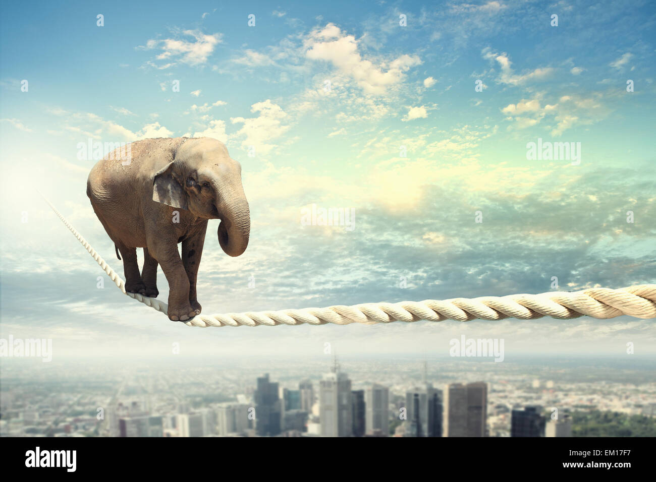 Elephant stress hi-res stock photography and images - Alamy
