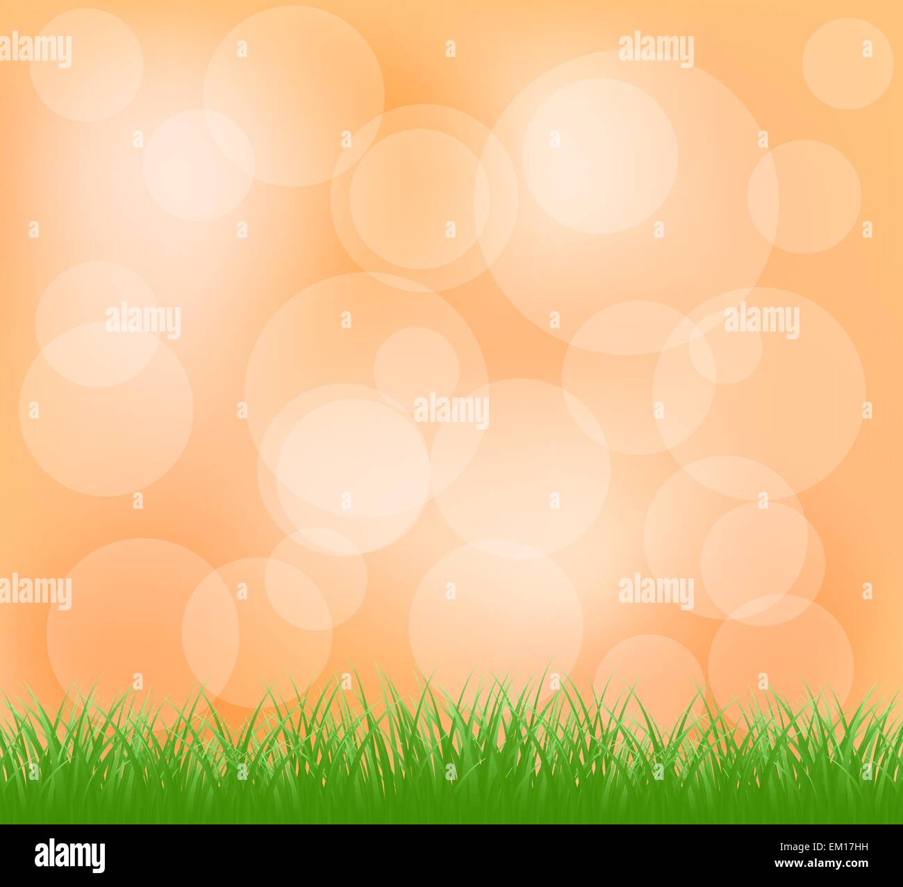 Natural green grass and orange background Stock Vector Image & Art - Alamy