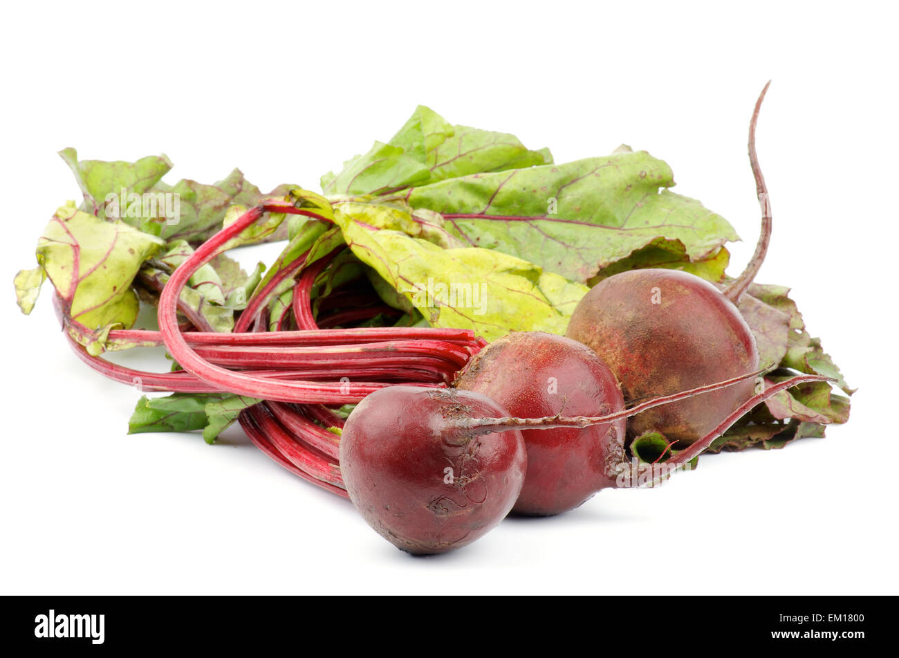Beetroots isolated hi-res stock photography and images - Alamy
