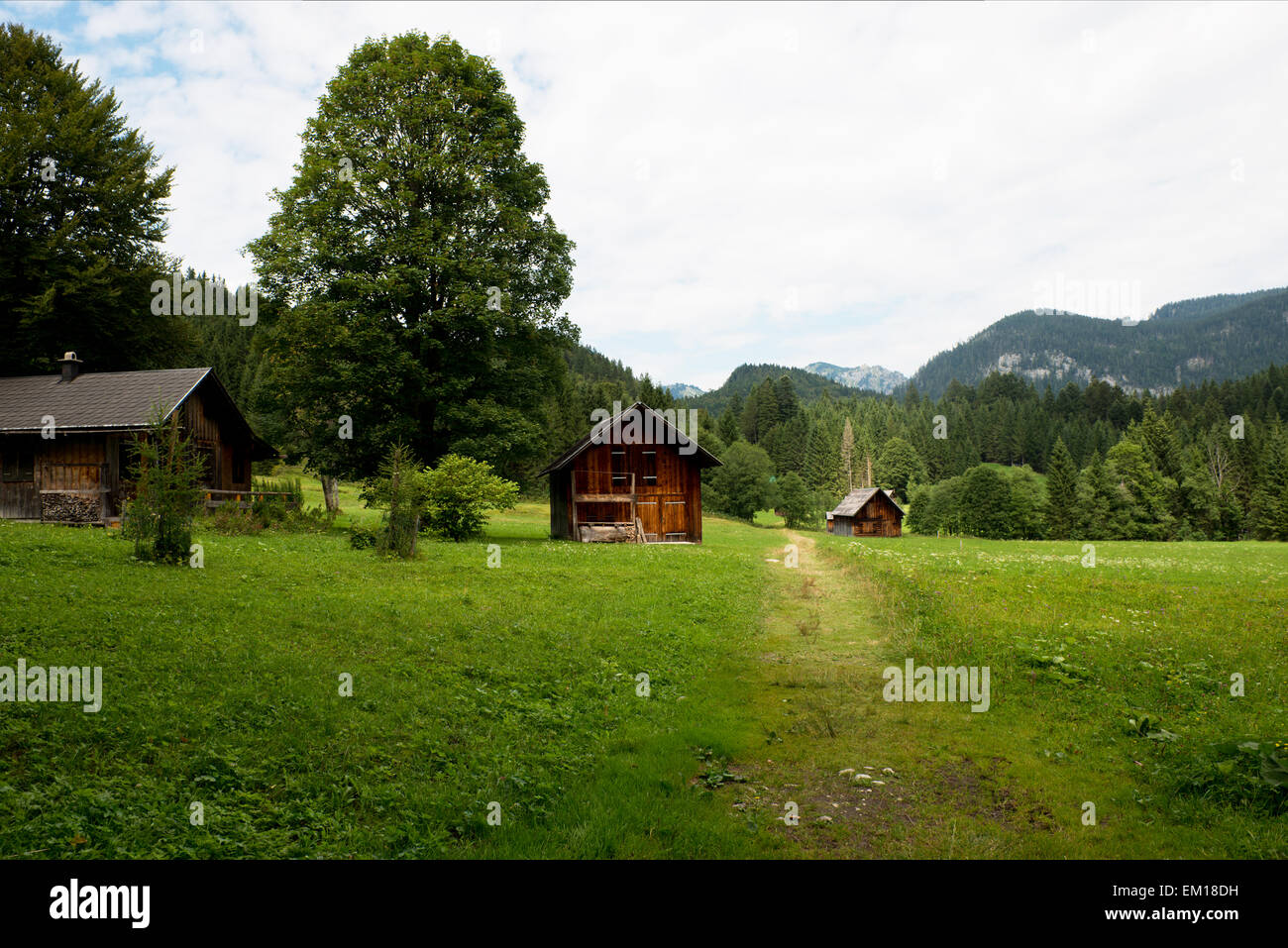 Wiesenwanderweg from Altaussee to Blaa-Alm with green pasture and huts ...