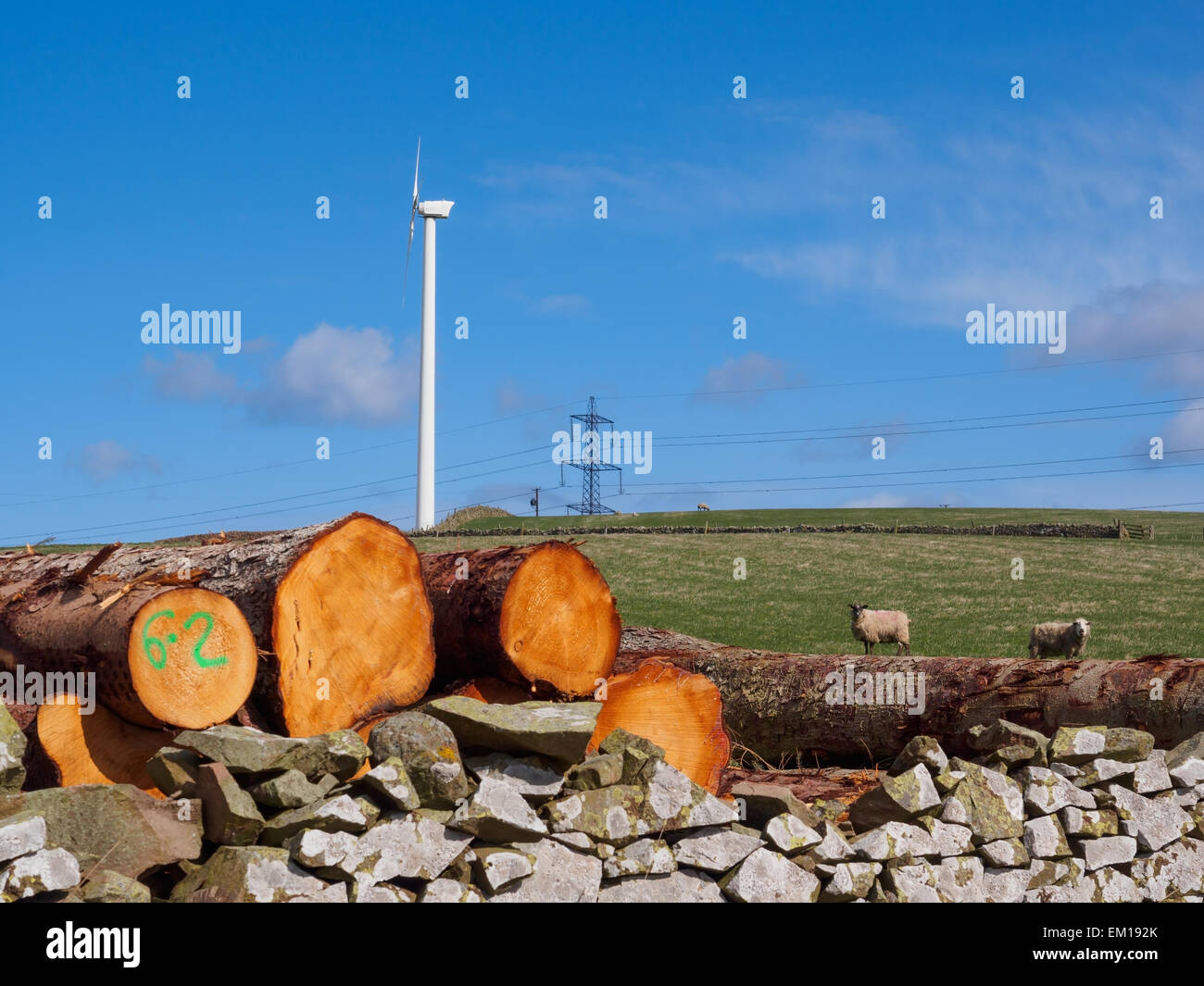 A traditional woodpile and stone wall, and modern wind turbine and ...