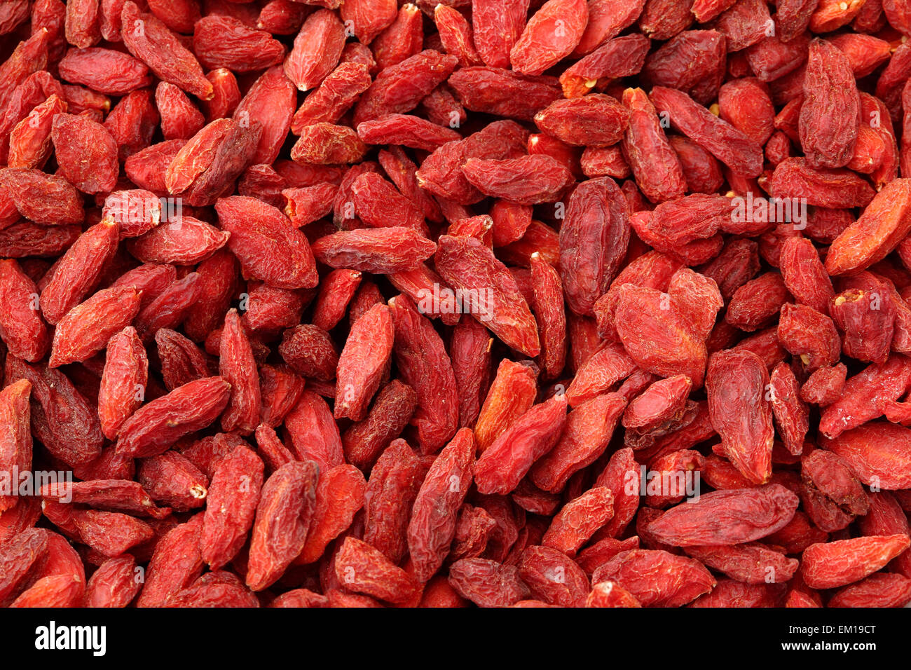 Dried wolfberry fruit Stock Photo - Alamy