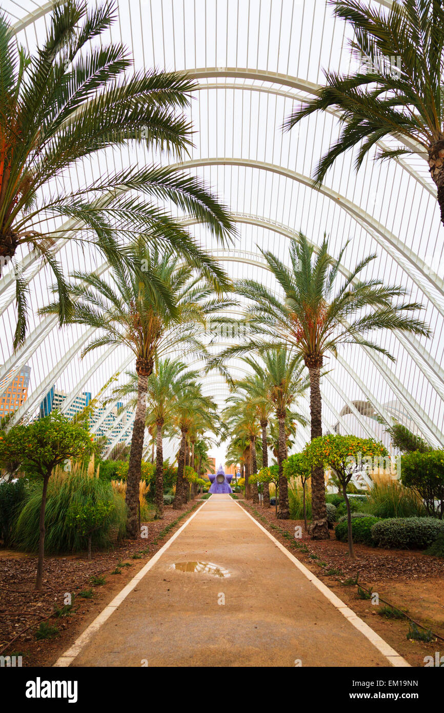 Inside L'Umbracle a landscaped walk with plant species indigenous to ...