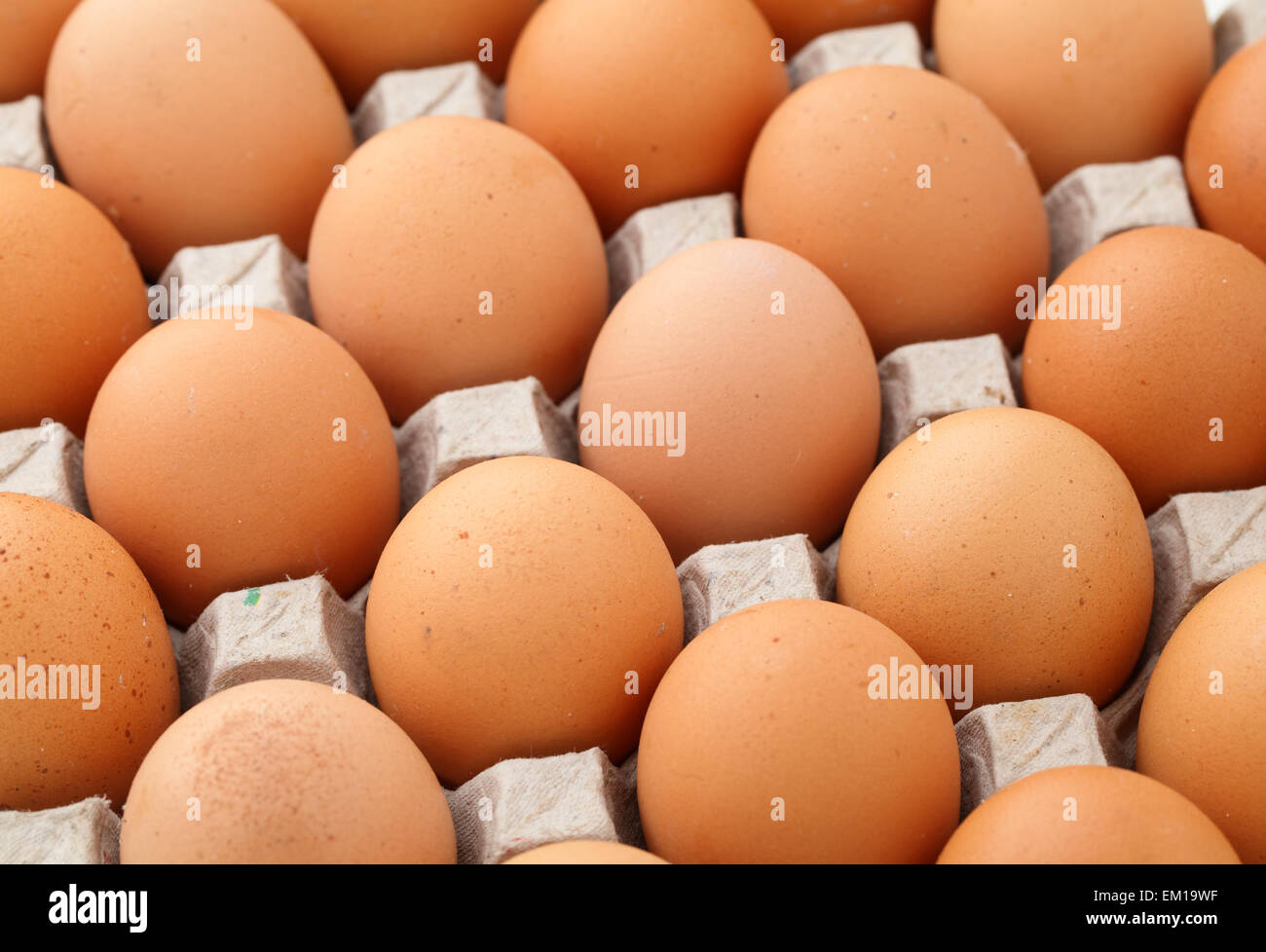 Farm egg in paper container Stock Photo - Alamy