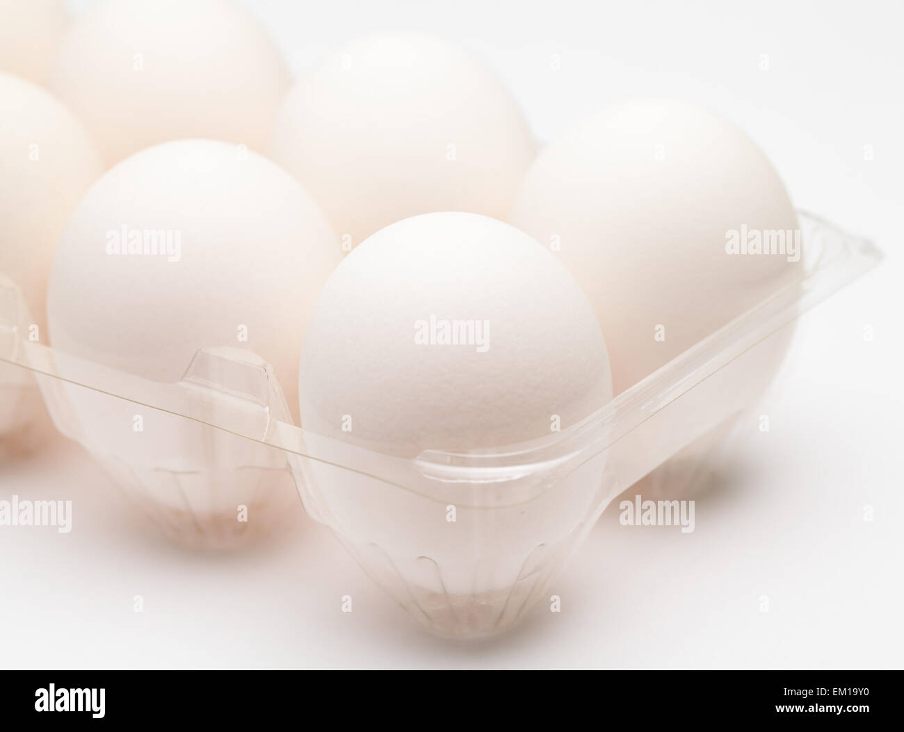 Transparent animal hi-res stock photography and images - Alamy