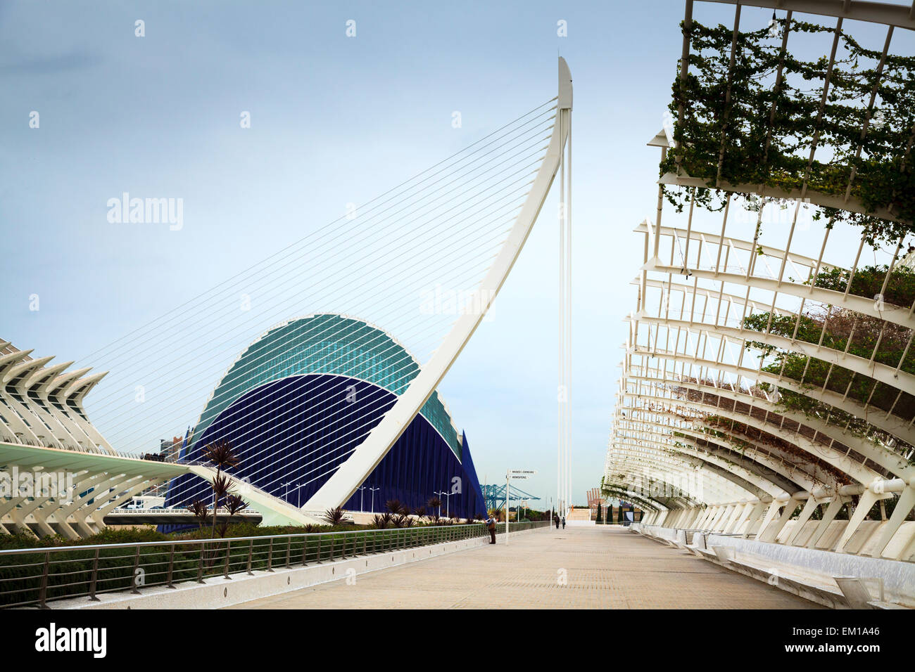 L'Agora building and the walkways of L'Umbracle Valencia Spain Stock ...