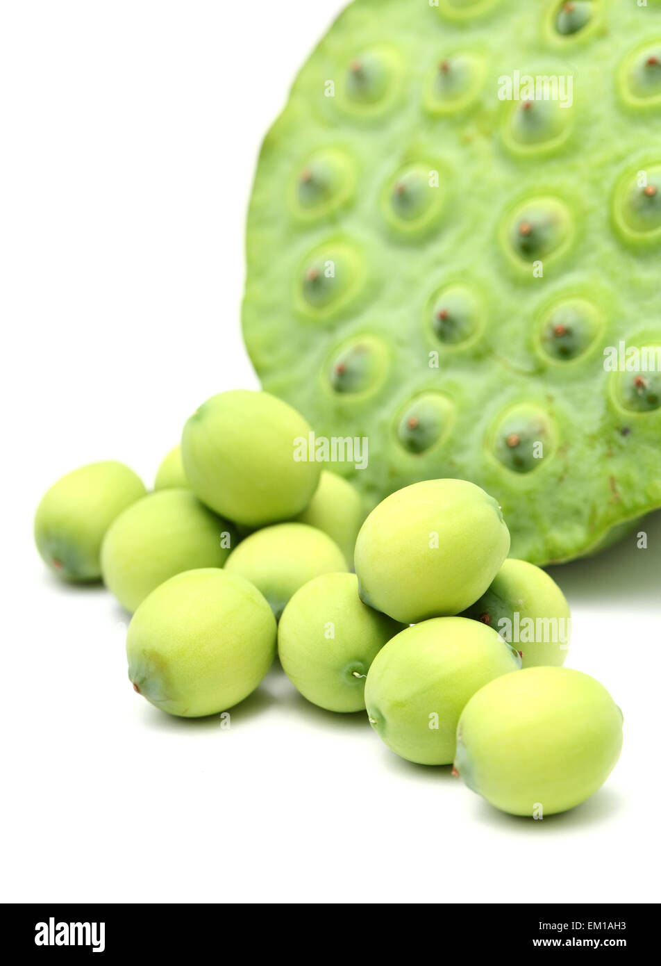 Fresh lotus seeds hi-res stock photography and images - Alamy