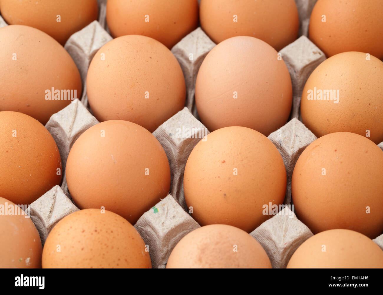 Paper egg container hi-res stock photography and images - Alamy