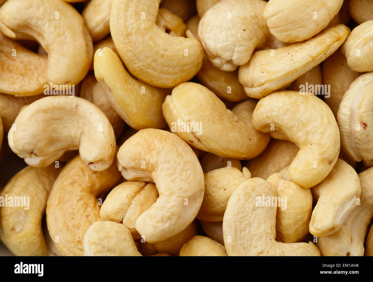 Fresh Cashew nuts Stock Photo - Alamy