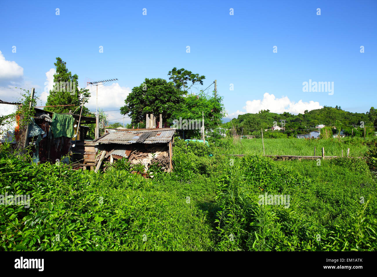 Wooden house in countryside Stock Photo - Alamy
