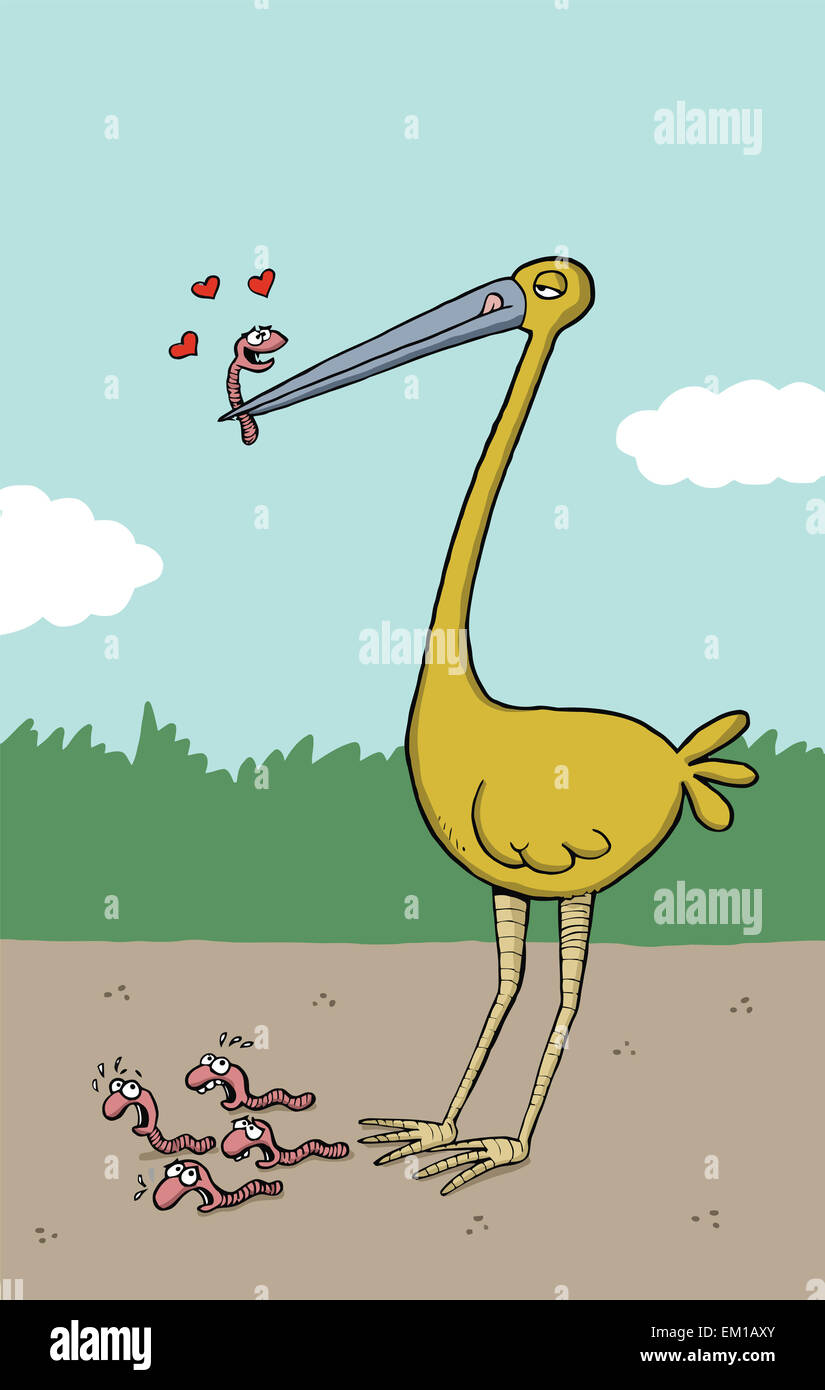 Bird with a earth worm hi-res stock photography and images - Alamy