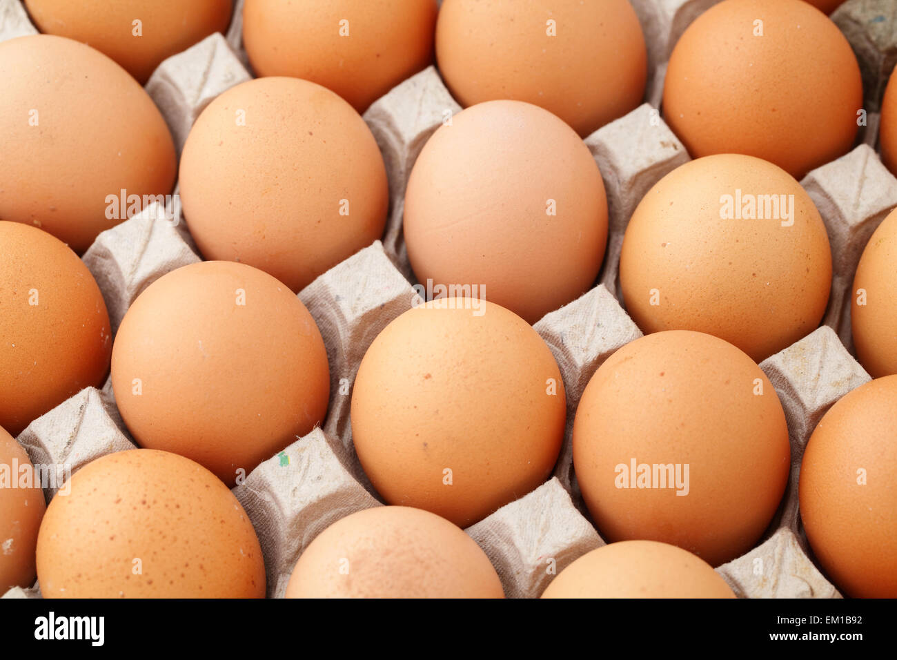 Farm egg in paper container Stock Photo - Alamy
