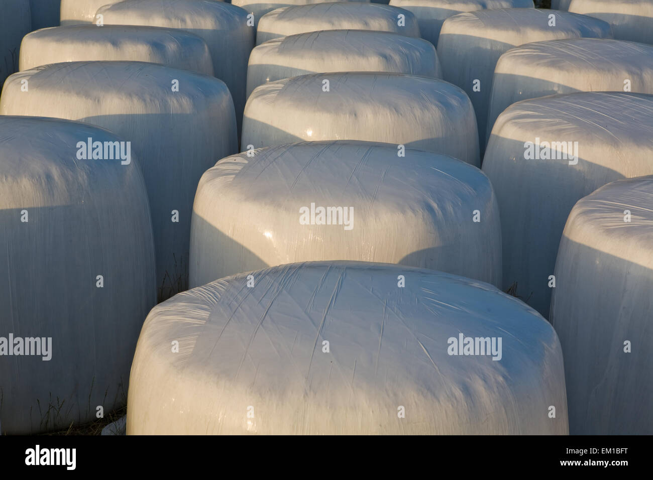 Plastic hay rolls hi-res stock photography and images - Alamy