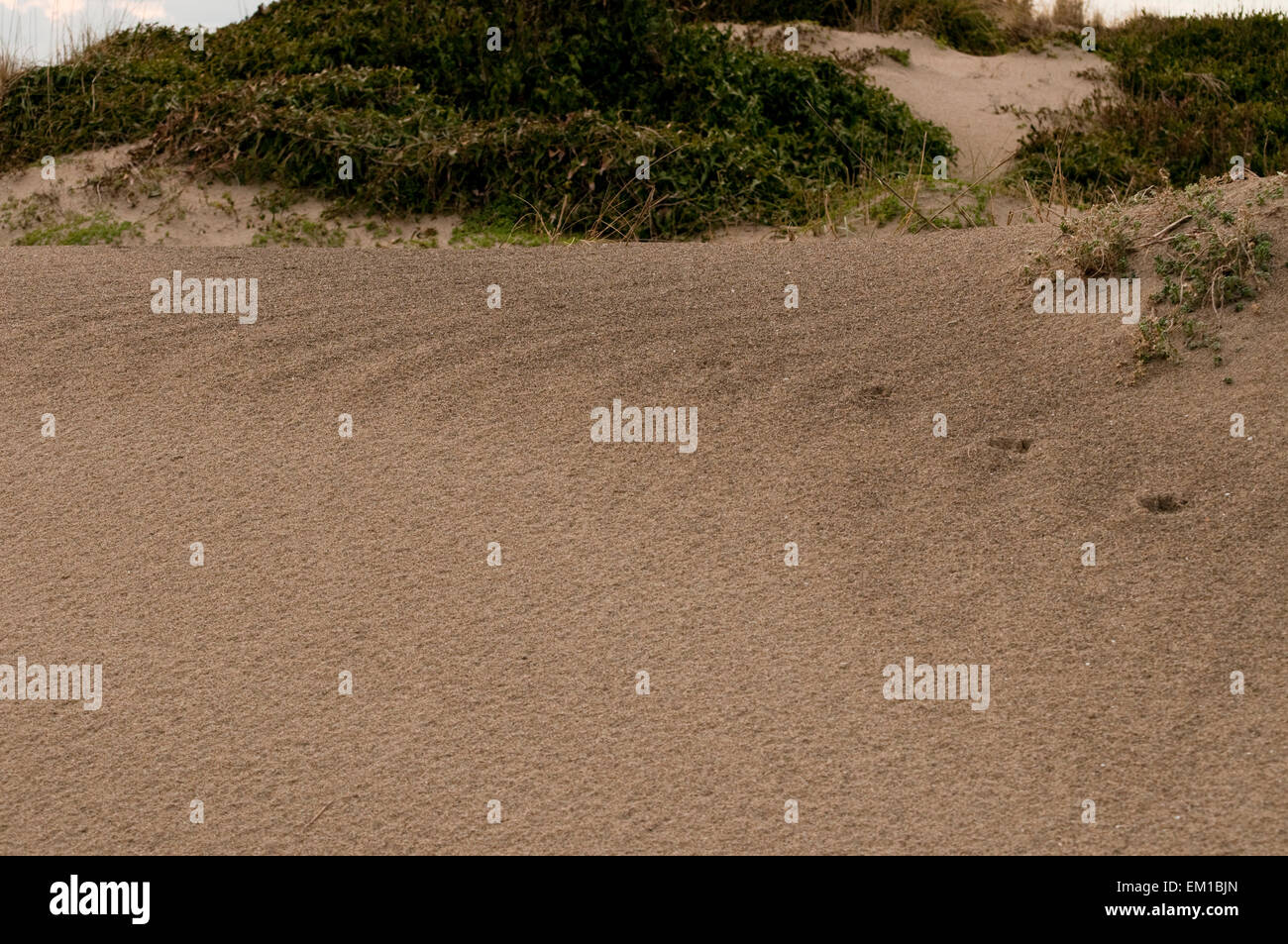 wind waves of sand dunes Stock Photo - Alamy
