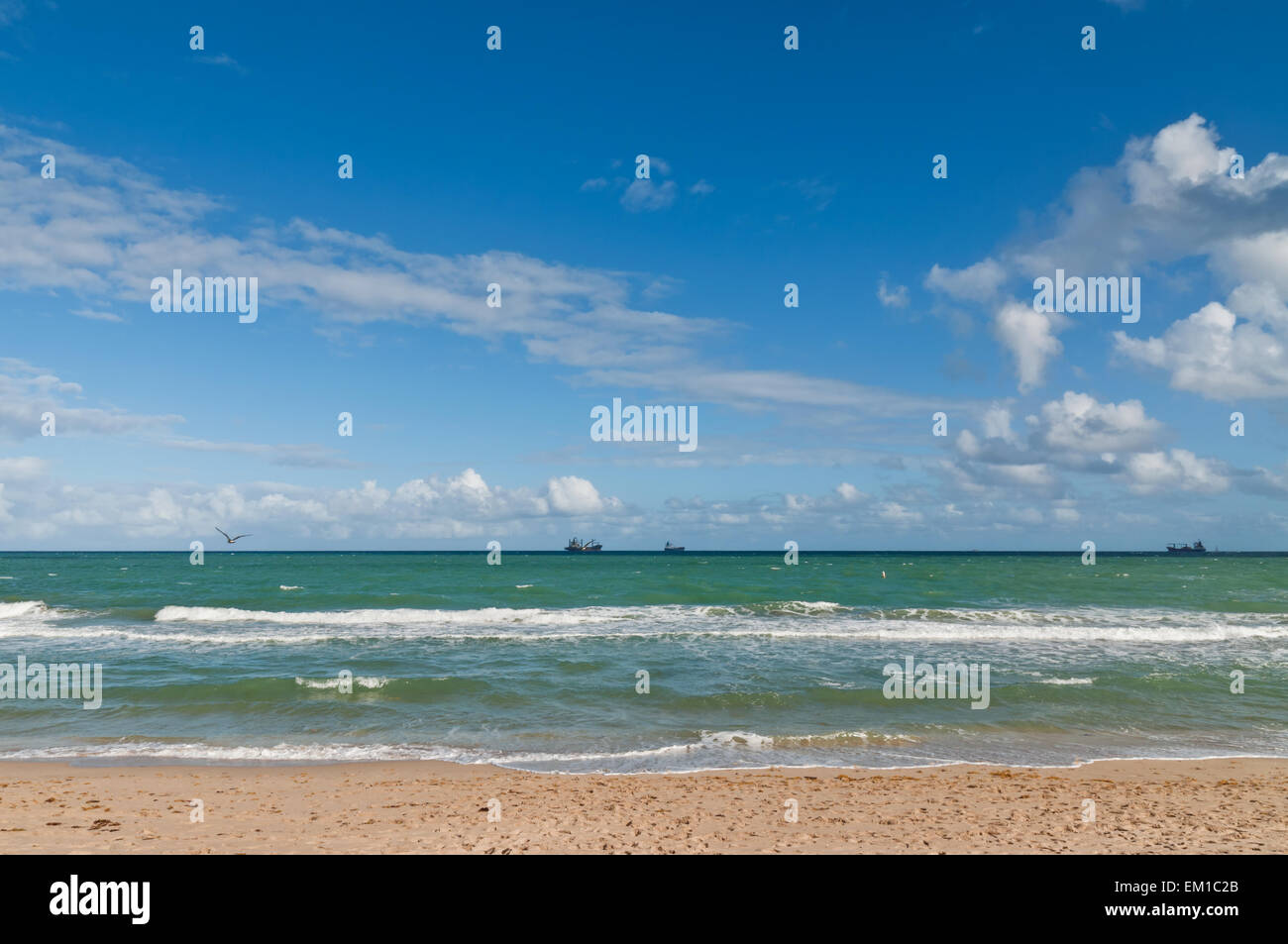 Atlantic ocean beach hi-res stock photography and images - Alamy
