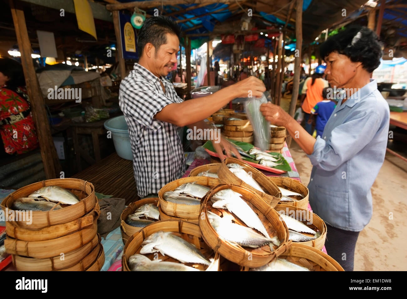 Fish market; Banda Aceh, Aceh Province, Sumatra, Indonesia Stock Photo ...