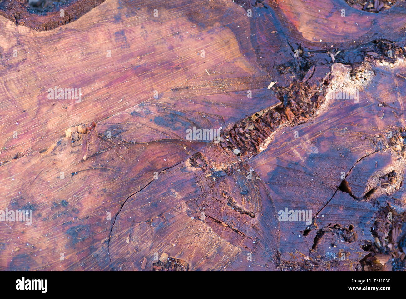 vintage old wood texture Stock Photo - Alamy