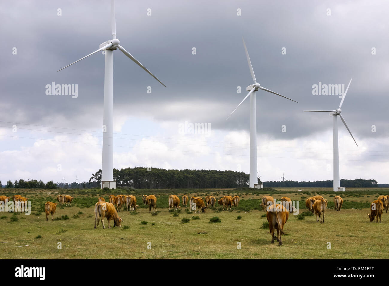 Wind farm. Modern windmills or wind turbines in the countryside ...