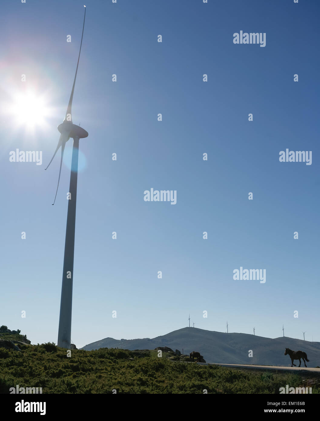 Wind Turbines on a modern windmill farm for alternative energy ...