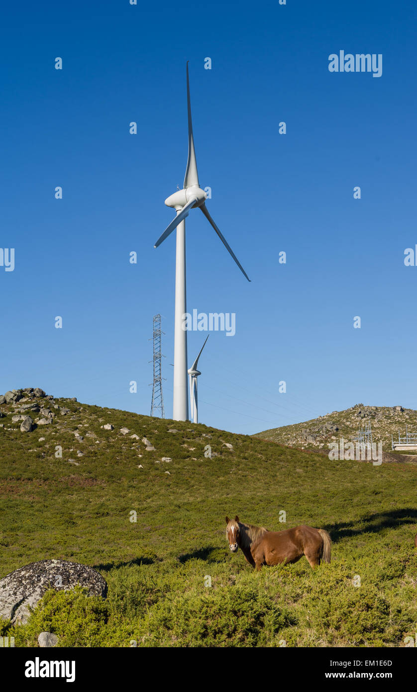 Wind Turbines on a modern windmill farm for alternative energy ...