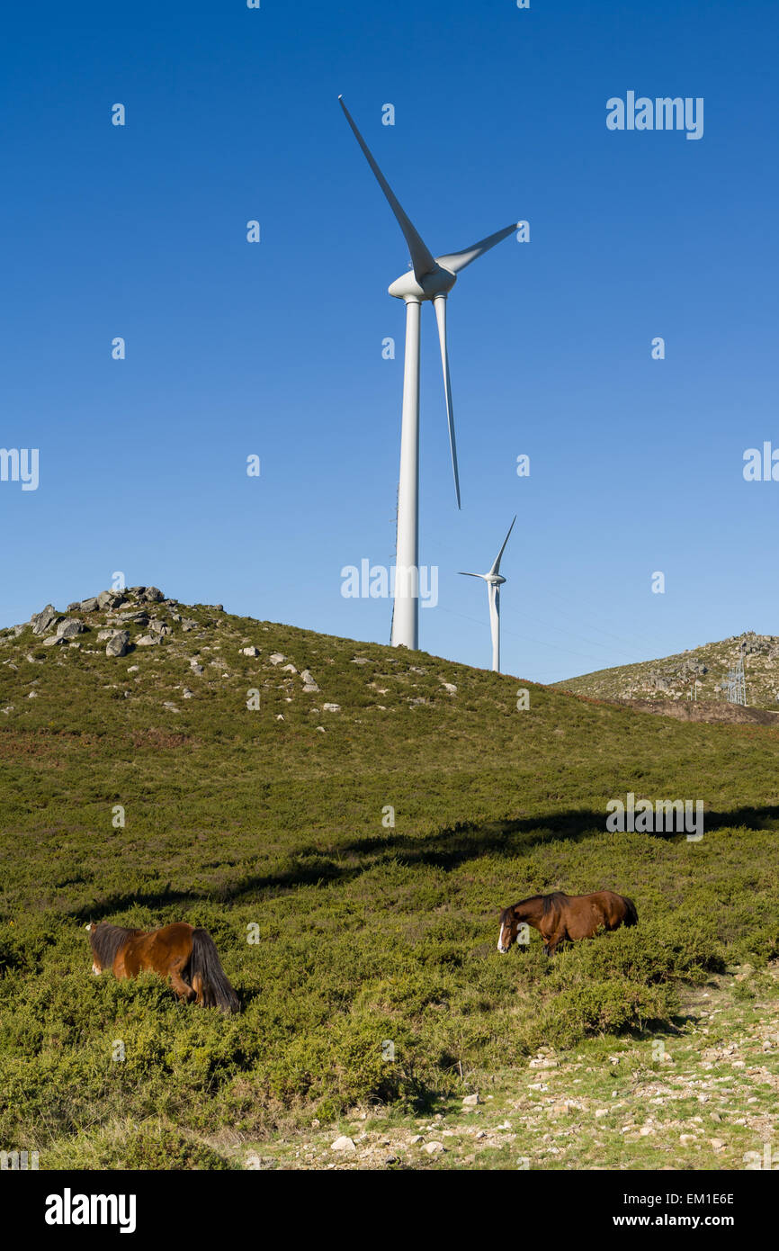 Wind farm. Modern windmills or wind turbines in the countryside ...