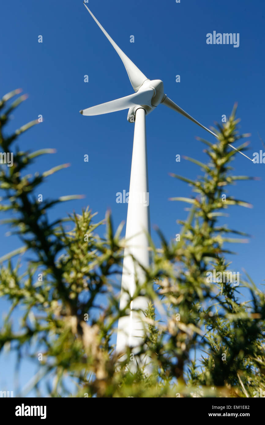 Wind Turbines on a modern windmill farm for alternative energy ...